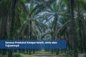 Sensus Produksi Kelapa Sawit: Jenis dan Tujuannya | Arvis