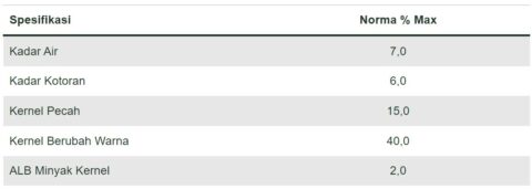 Mengenal Palm Kernel Oil, Olahan Biji Buah Kelapa Sawit | Arvis